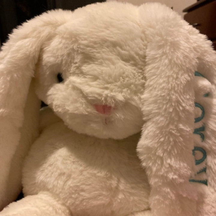 Embroidered plush bunny – Zack and Co Designs